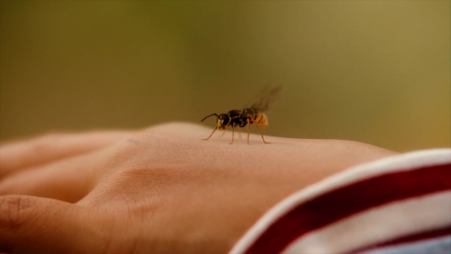 CBBC Katy - Fifth Wall VFX